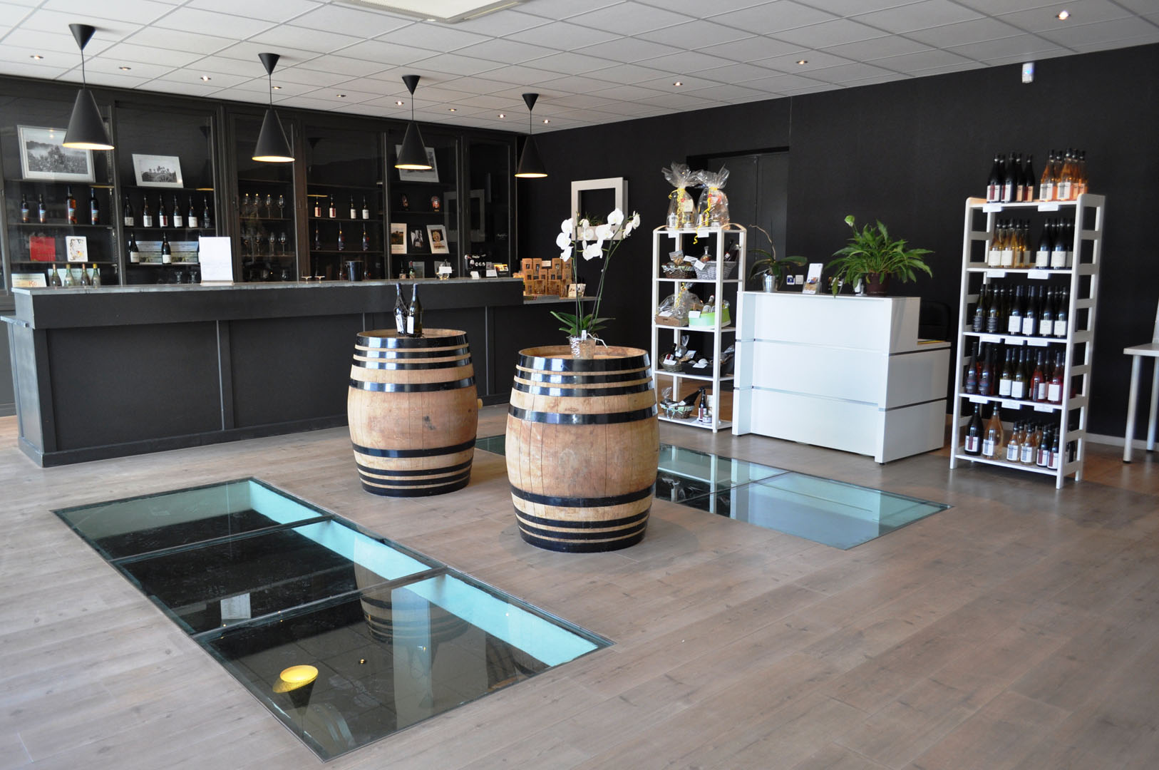 Visite du domaine - Domaine Claude Lafond